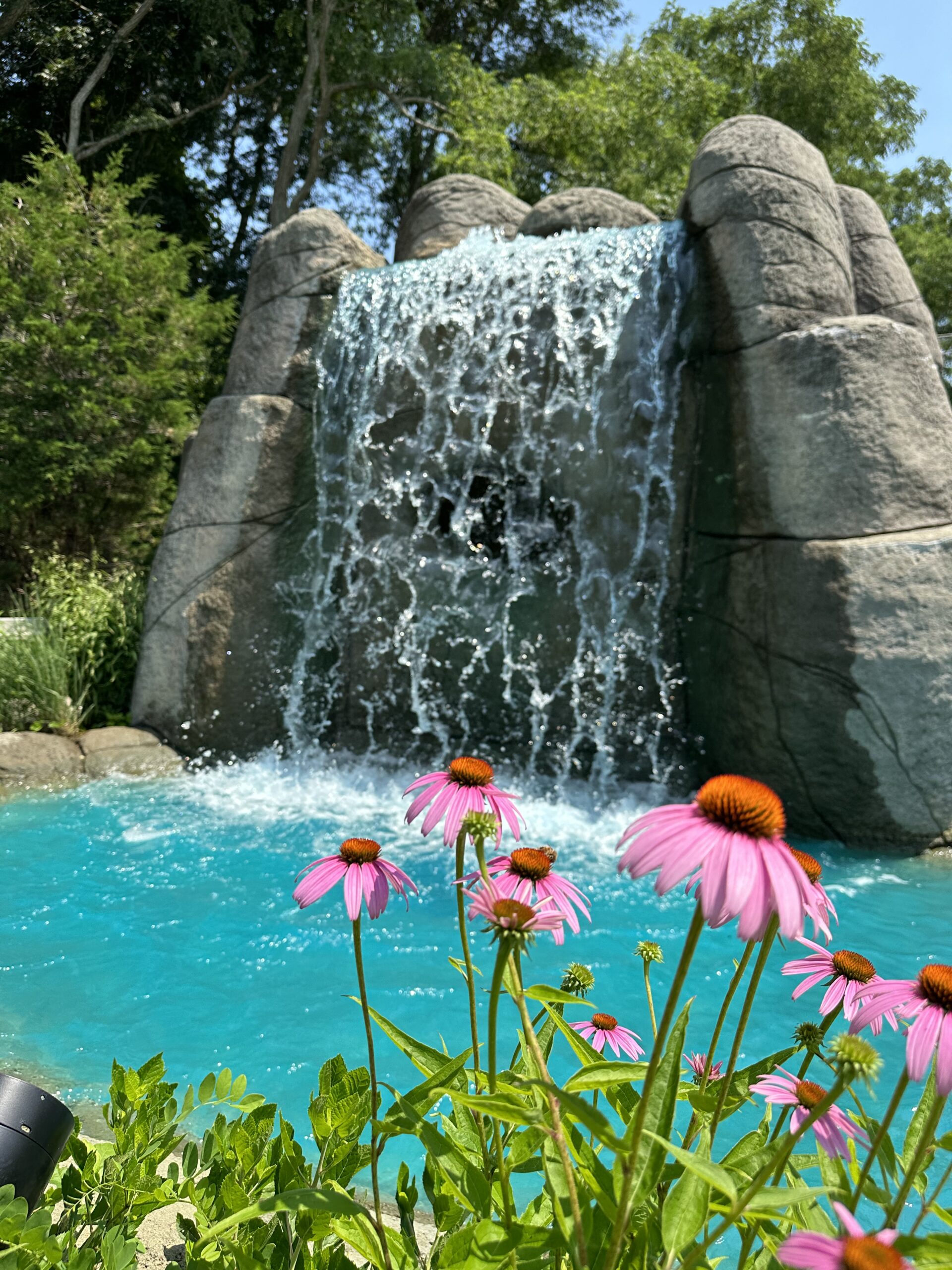 The Course - Harbor Lights Mini Golf & Ice Cream